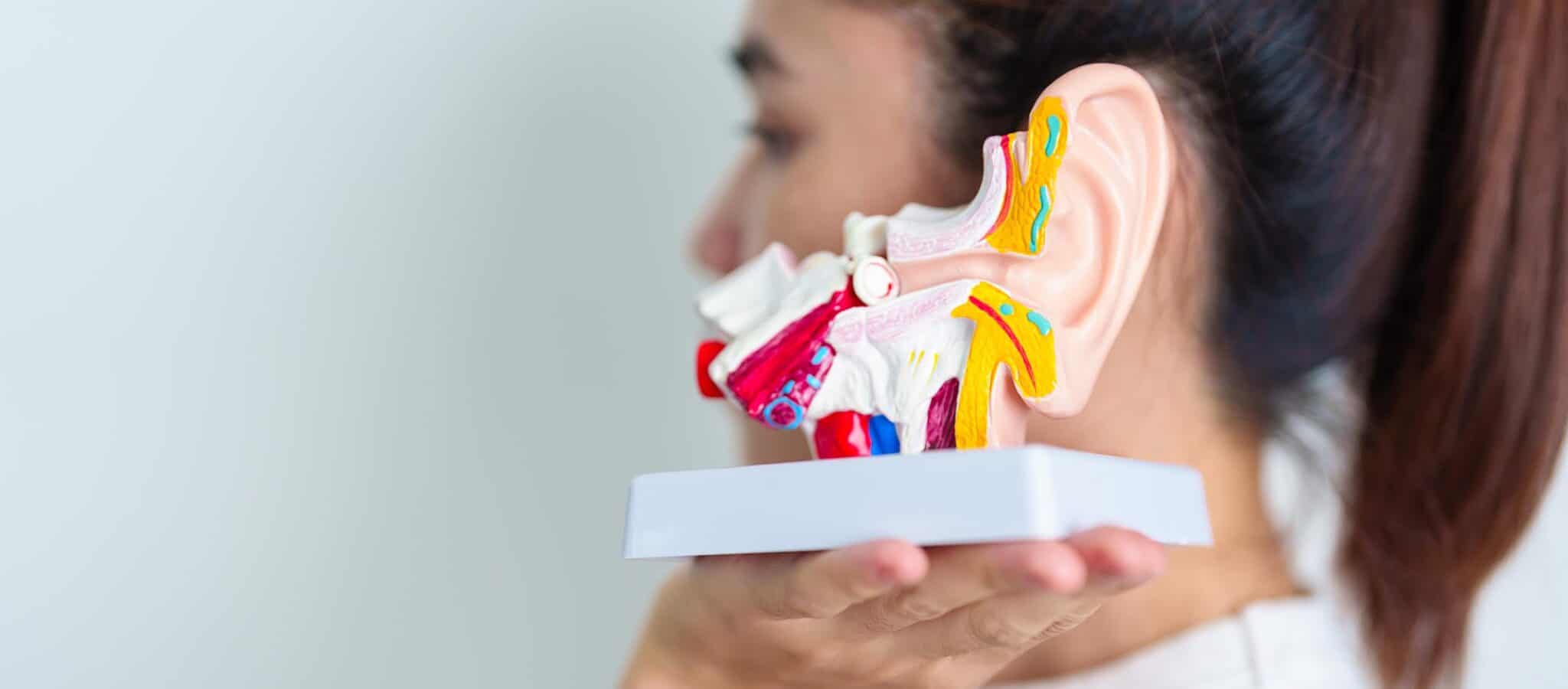 What Tympanometry Can Tell You About Your Ear Health - The Forbury Clinic