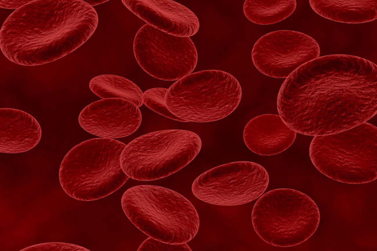 Private Blood Tests In Reading, Berkshire | Book Today | Forbury Clinic