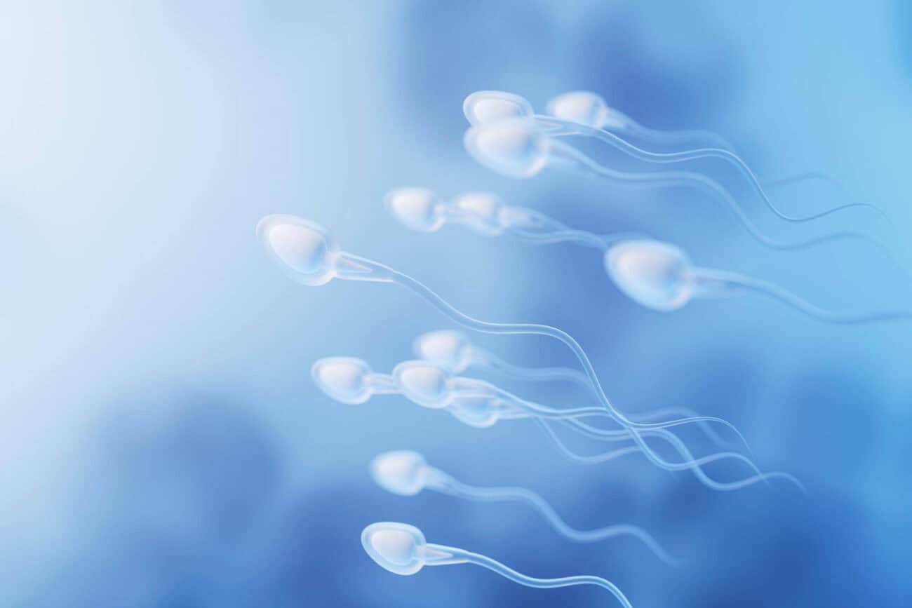 Sperm DNA Fragmentation Test - Male Fertility Testing