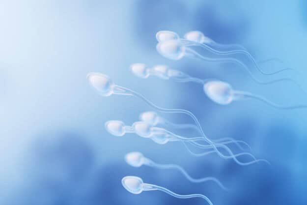 Sperm DNA Fragmentation Test - Male Fertility Testing